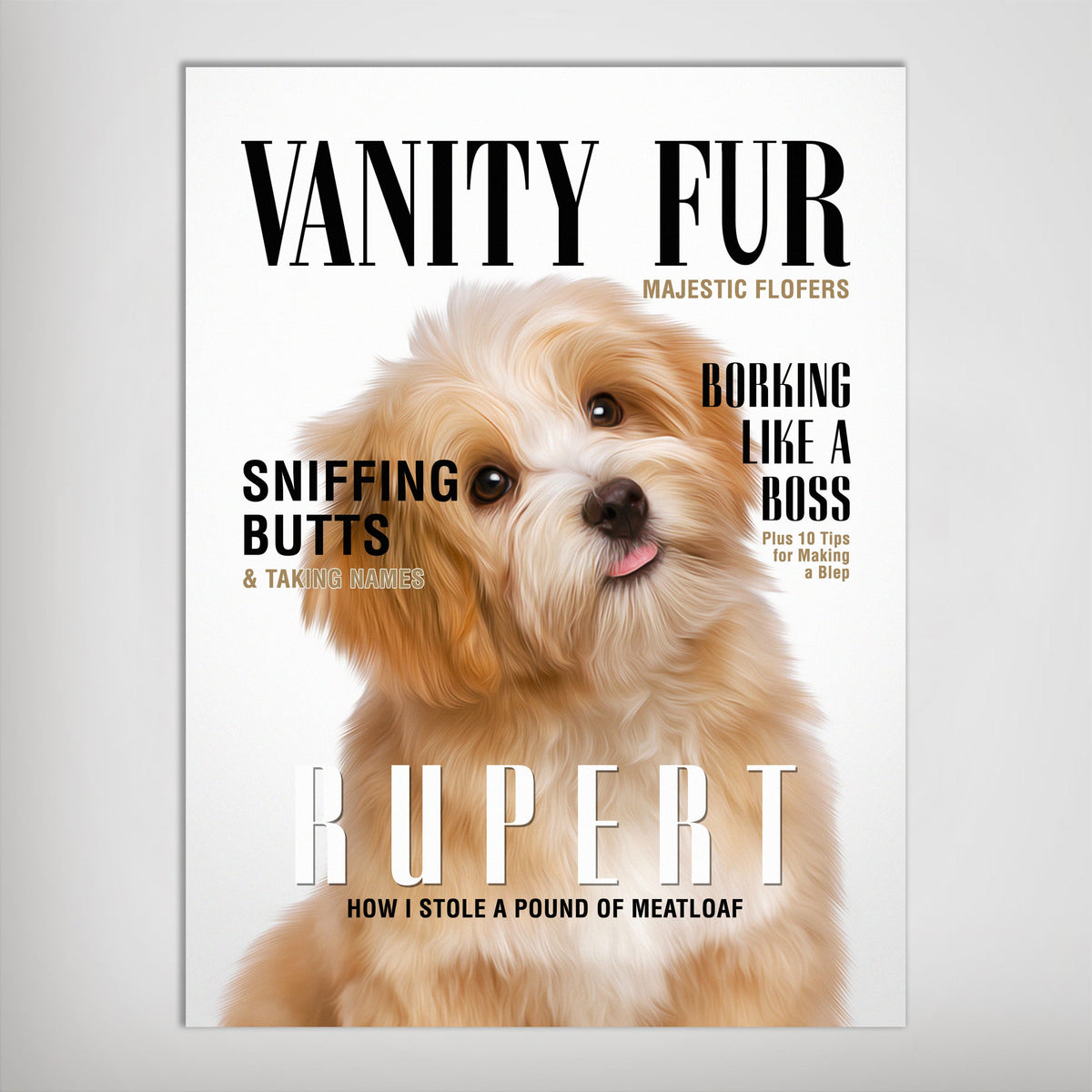 'Vanity Fur' Personalized Pet Poster – doggovinci