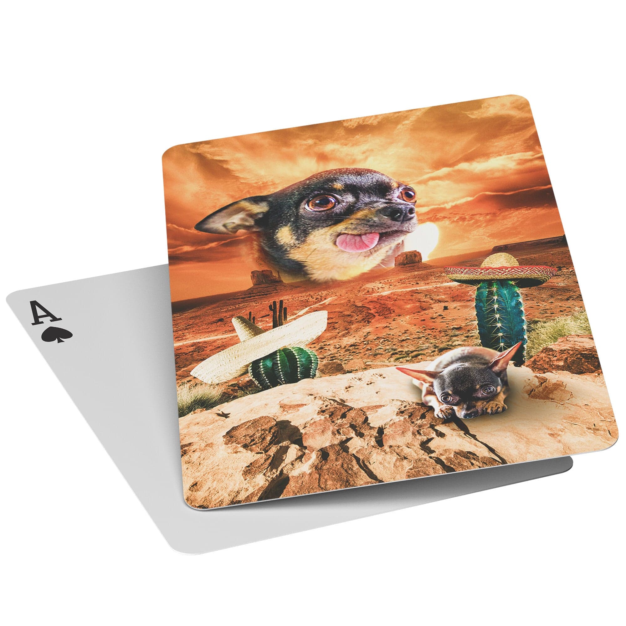 'Mexican Desert' Personalized Pet Playing Cards – doggovinci