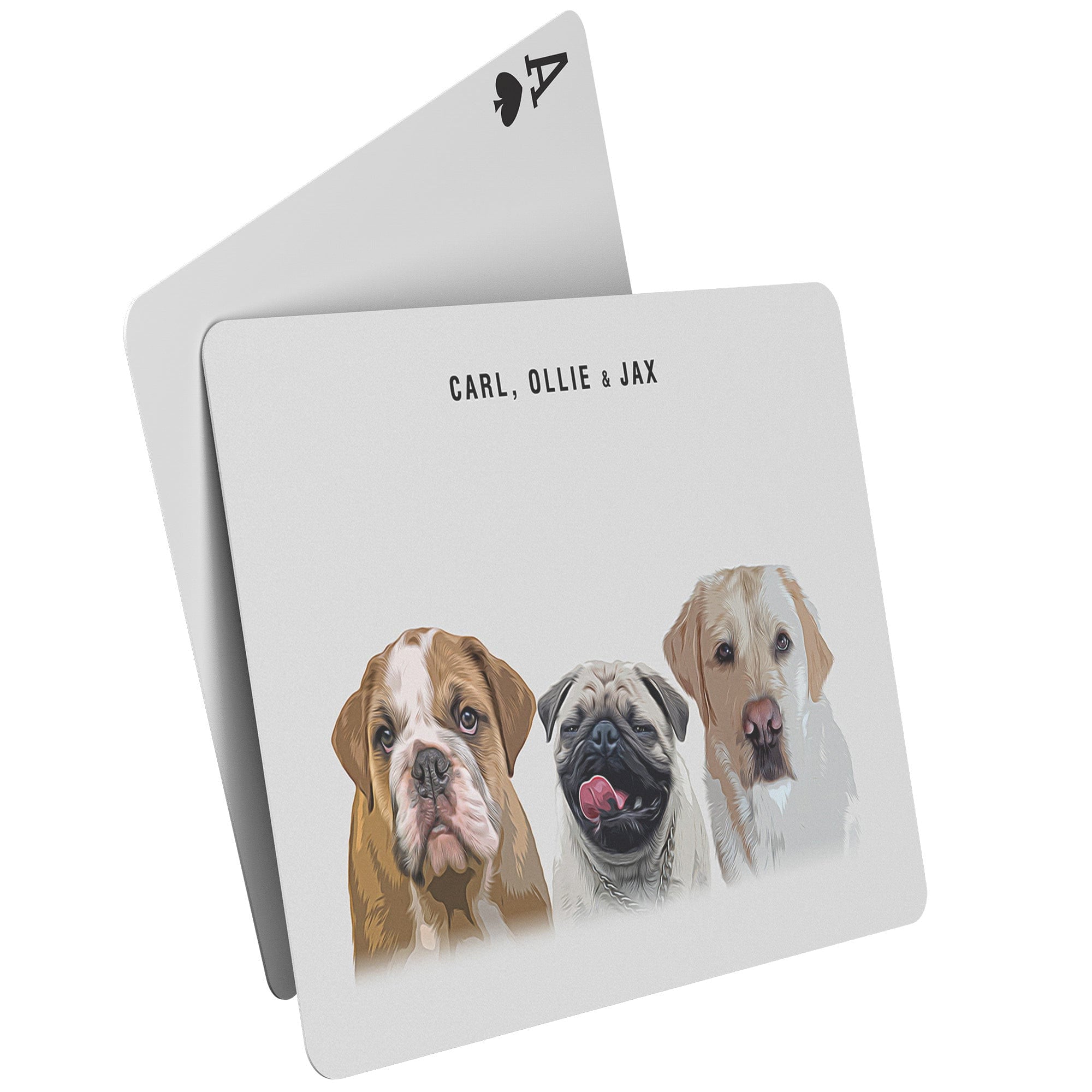 Personalized Modern 3 Pet Playing Cards – doggovinci